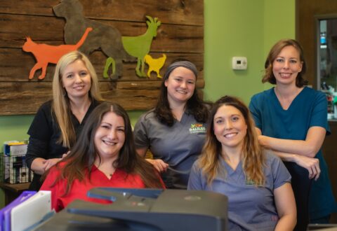 Vet Hospital In Jefferson, GA | Galilee Vet Hospital