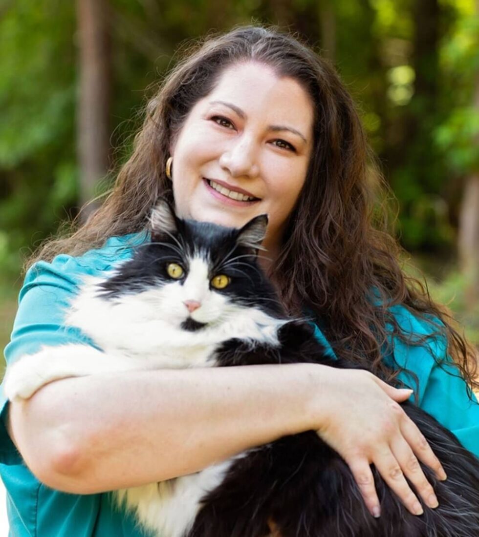 Veterinarian In Jefferson, GA | Galilee Veterinary Hospital